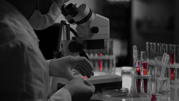 Athlete Blood Testing NZ – I-Screen Partnership | Strom Sports NZ ...